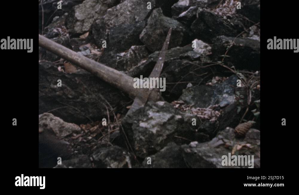 1950s: Man uses pickaxe to loosen, turn boulders. Man picks up rock ...