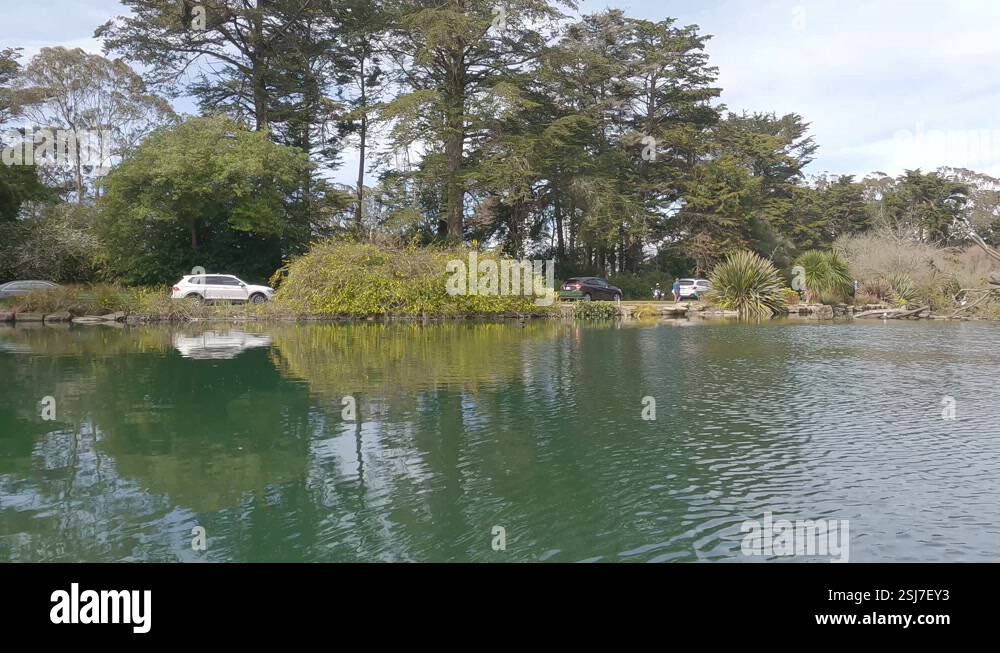 Paddling Stow lake San Francisco California Stock Video Footage - Alamy