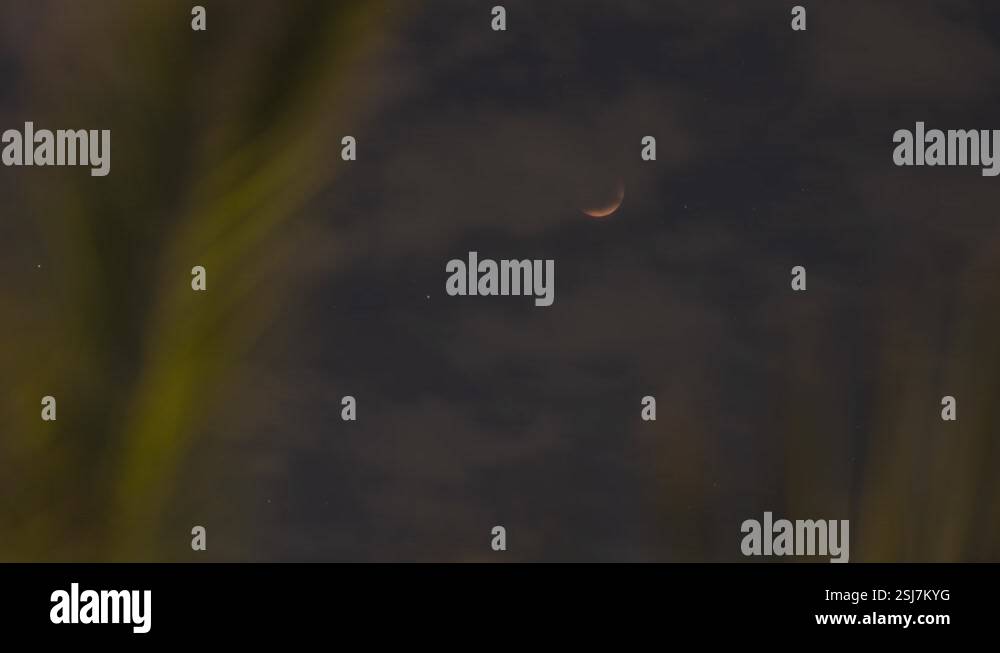 Dramatic and scary orange moon light on the dark night sky with bright ...