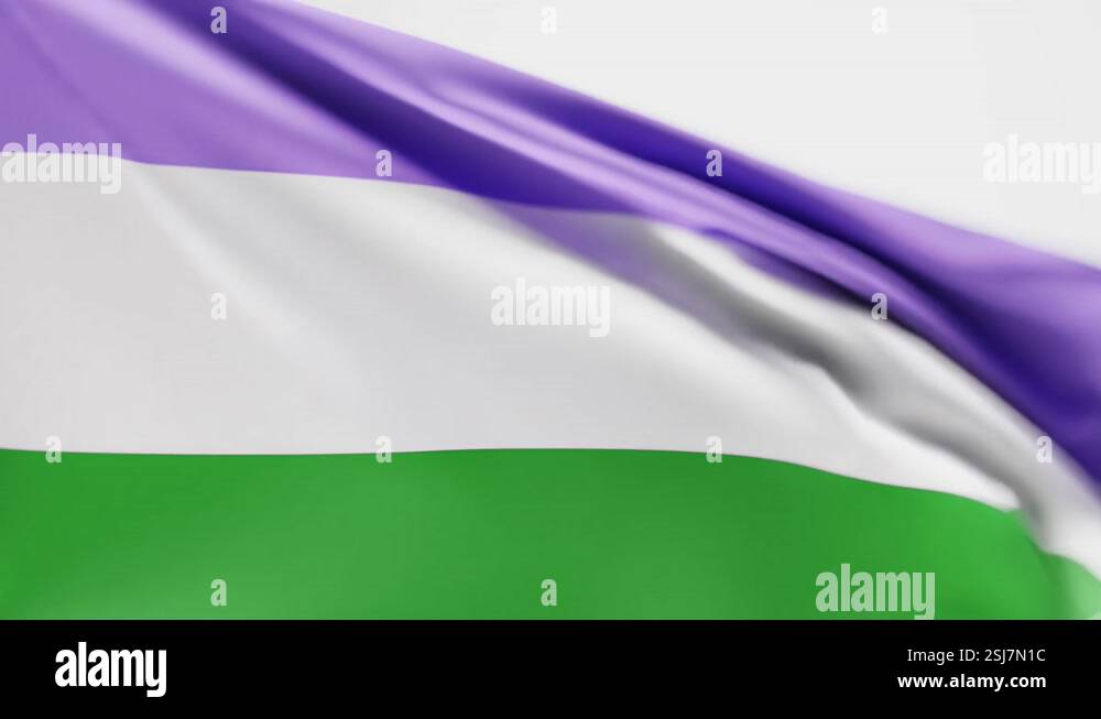 Genderqueer Pride Flag waving against white background, 3D render Stock ...