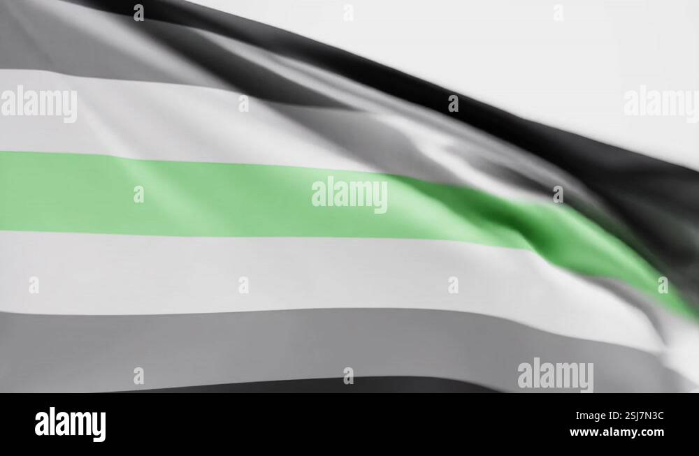Agender (gender-neutral) flag waving against white background, 3D ...