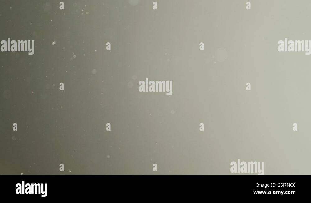 Dust Particles Floating Soft Neutral Background Slow Motion 4K Stock ...