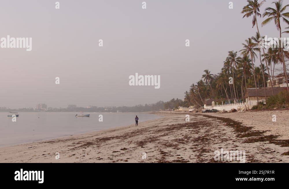 Beautiful exotic African landscape with sand beach and palm trees Stock ...