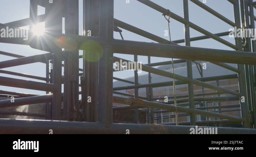 The sun shines through the gaps of an empty metal bull chute in Dallas ...
