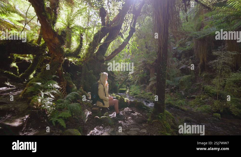 Blond woman sitting on forest bench under large fern tree with morning ...