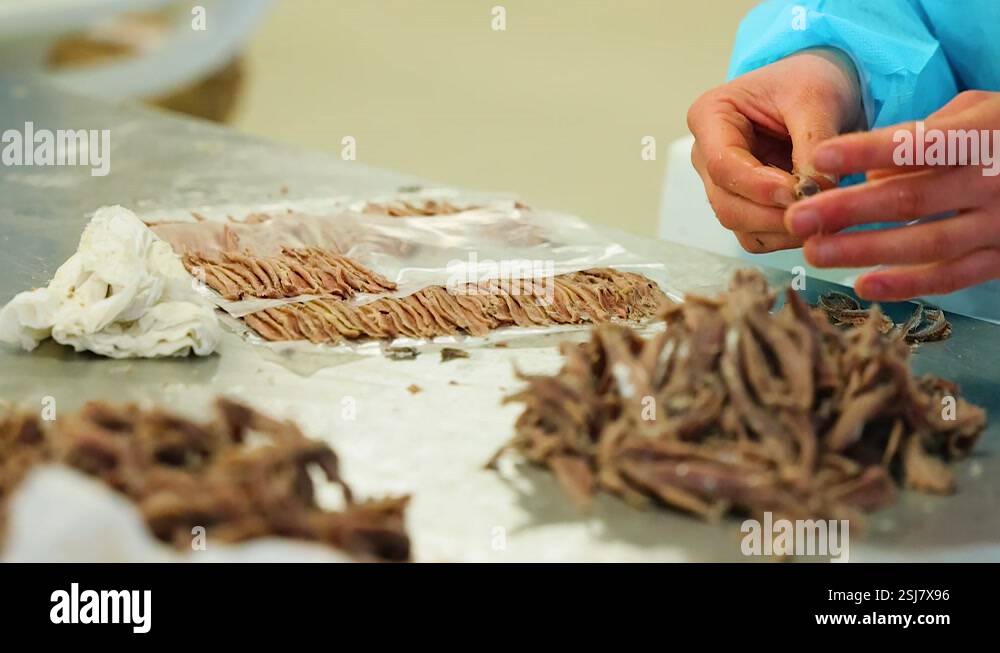 Shellfish worker Stock Videos & Footage - HD and 4K Video Clips - Alamy