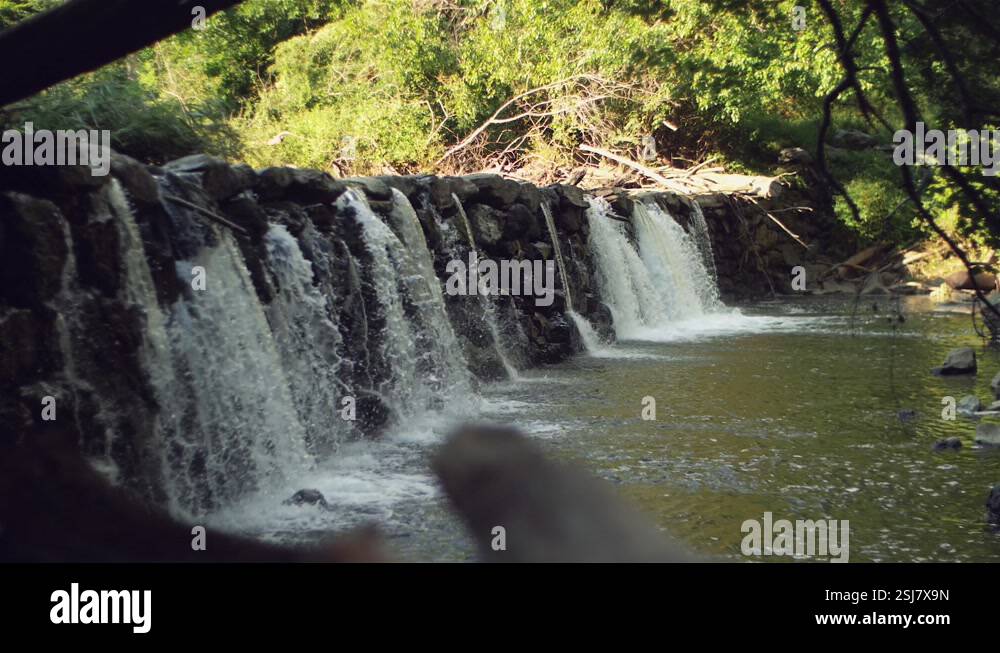 Water streams and flows over rock wall dam in shade of tall trees Stock ...