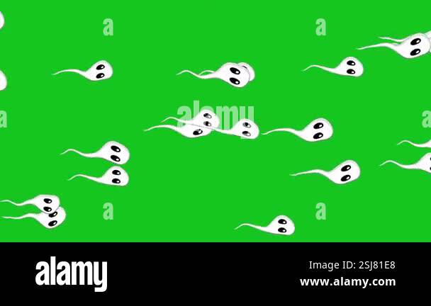 Moving sperm cells motion graphics with green screen background Stock Video Footage - Alamy