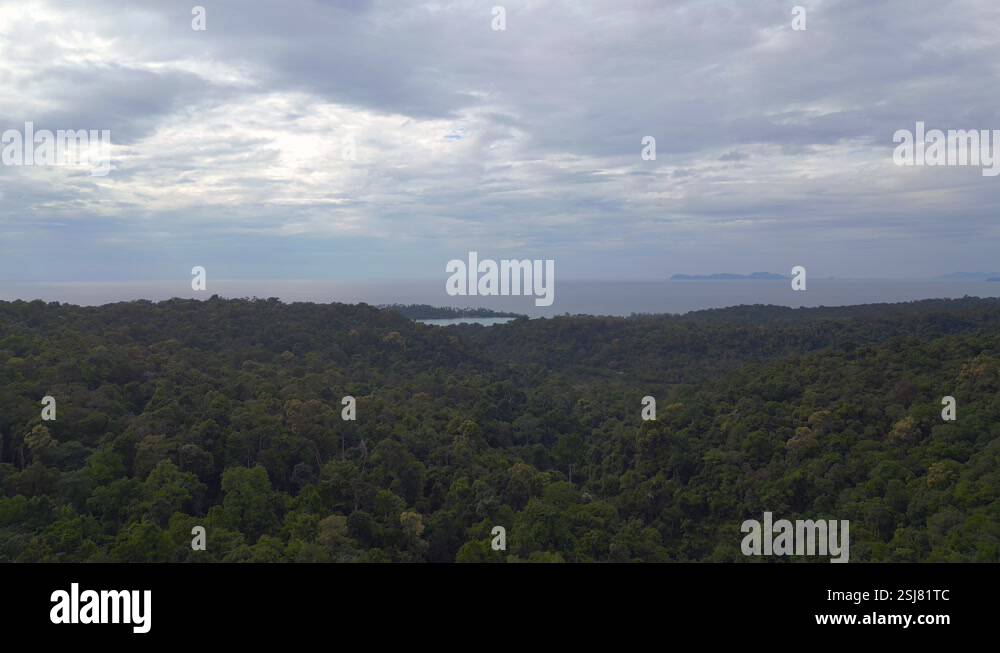 overview primeval jungle rainforest island. Marvelous aerial top view ...