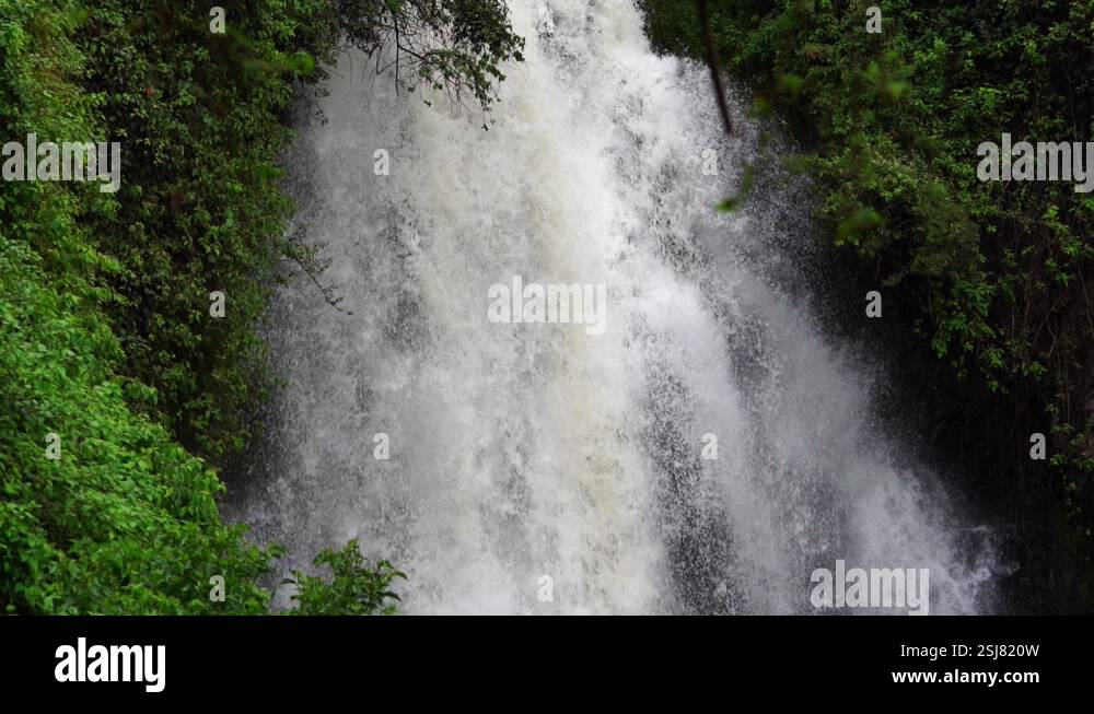 A picturesque waterfall in the forests of Ecuador Stock Video Footage ...