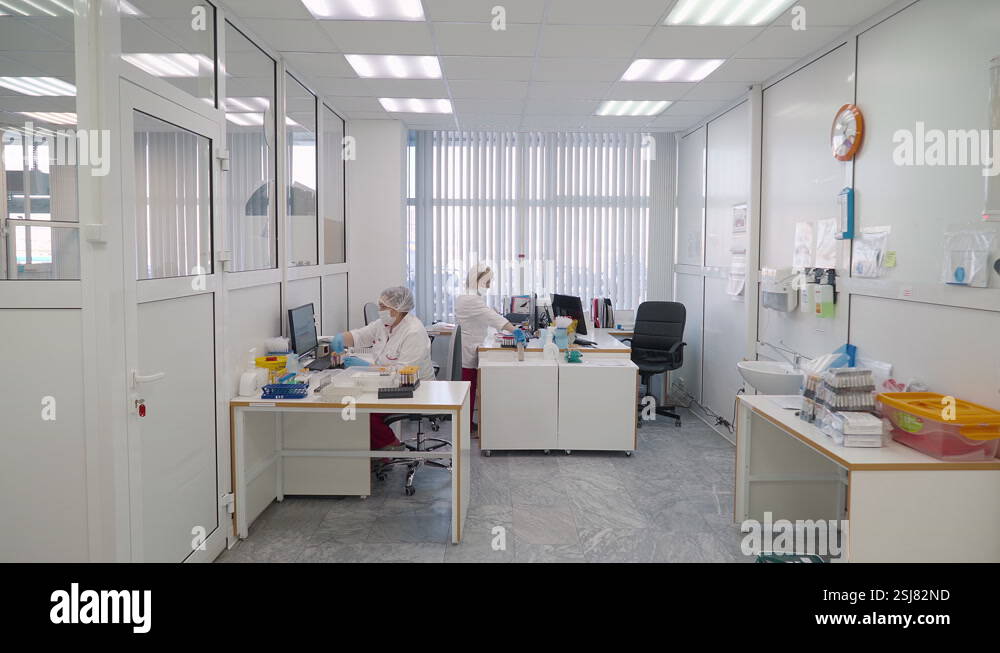 Clinical Laboratory Scientists Sorting Blood Test Tubes For Health ...