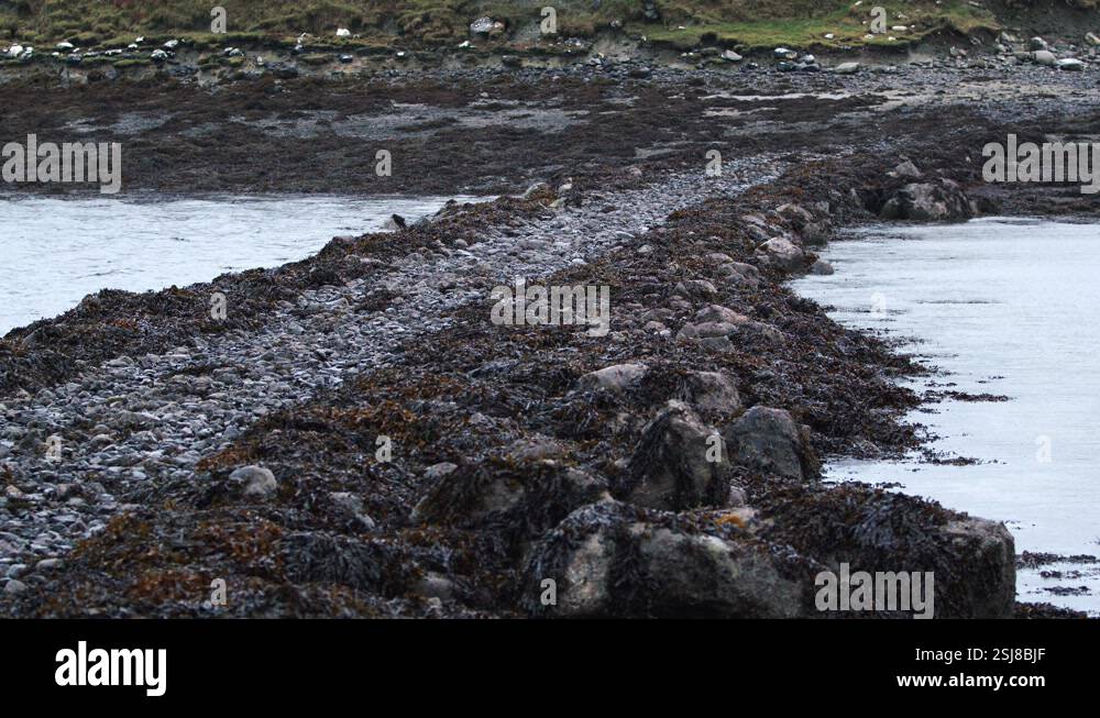 Shot of an old stone causeway. A sea loch is on one side and the ocean ...