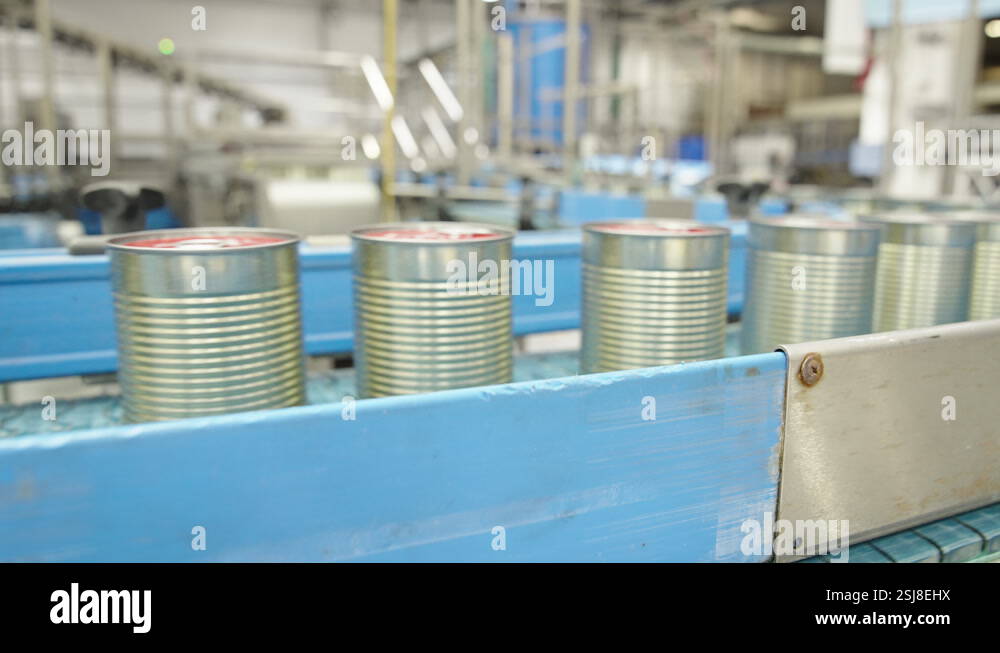 Green peas in cans on a conveyor belt in a canned food production ...
