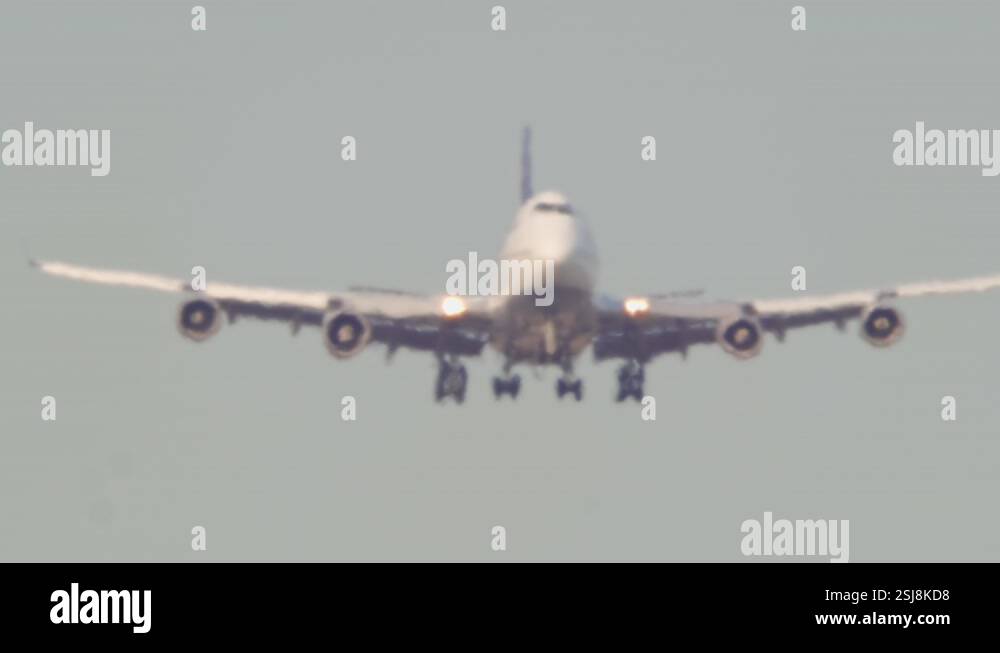 Jet airliner landing overhead. Front bottom view on landing airplane ...