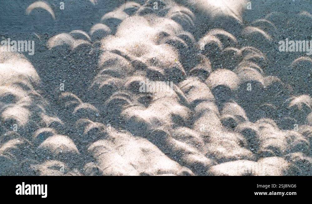 Crescent shadow Stock Videos & Footage - HD and 4K Video Clips - Alamy