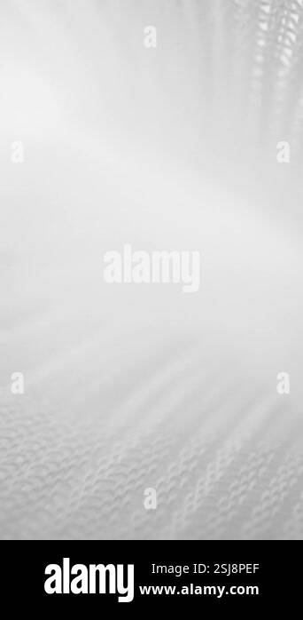 Filet linen Stock Videos & Footage - HD and 4K Video Clips - Alamy