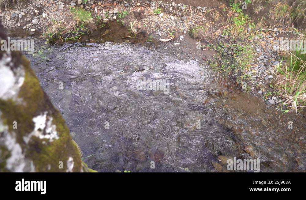 River channel Stock Videos & Footage - HD and 4K Video Clips - Alamy