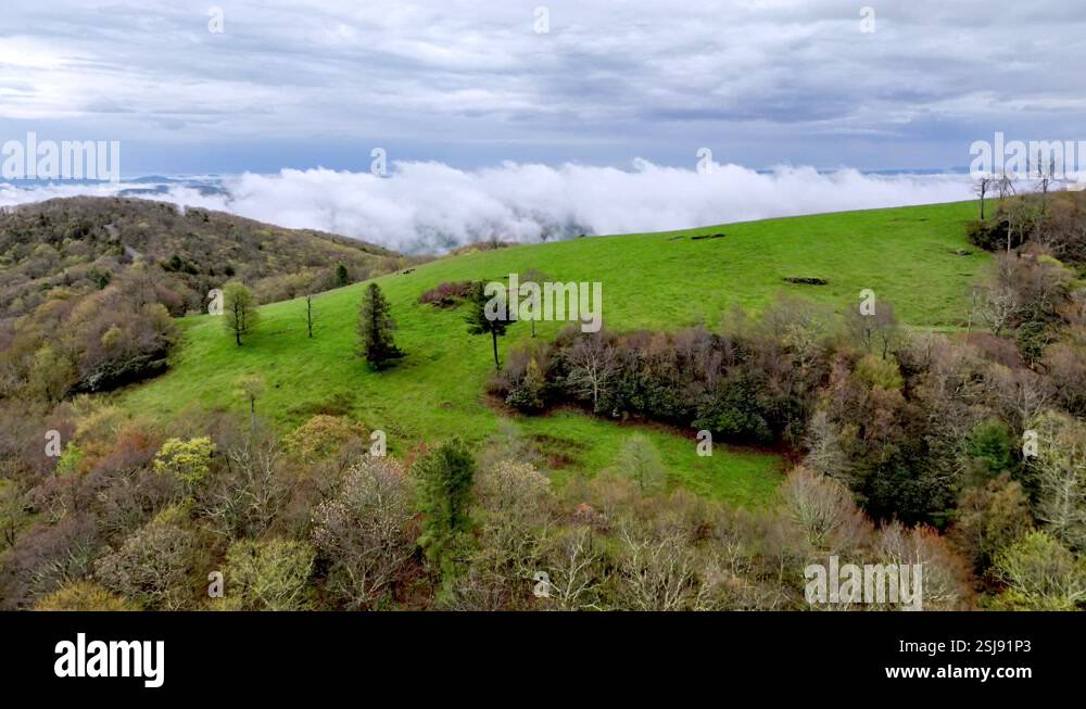 hilltop in spring in blue ridge mountains near boone nc and blowing ...