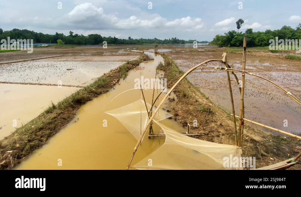 Rural fishing of bangladesh Stock Videos & Footage - HD and 4K Video ...