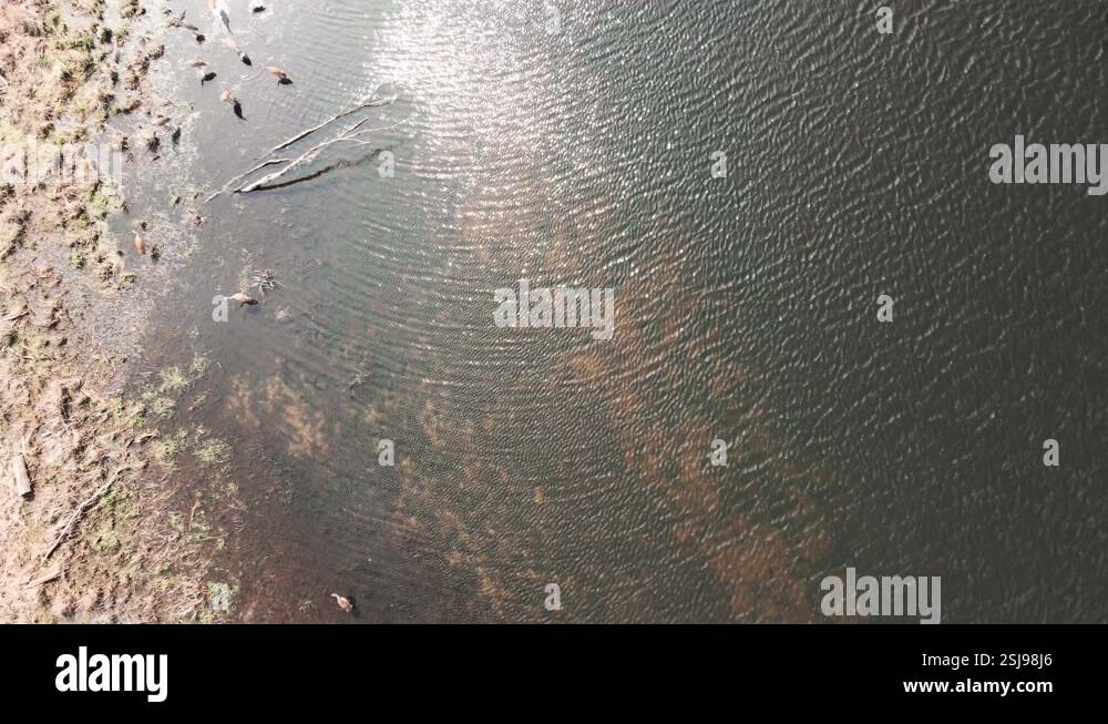 Shallow rotation over the Muskegon River Stock Video Footage - Alamy