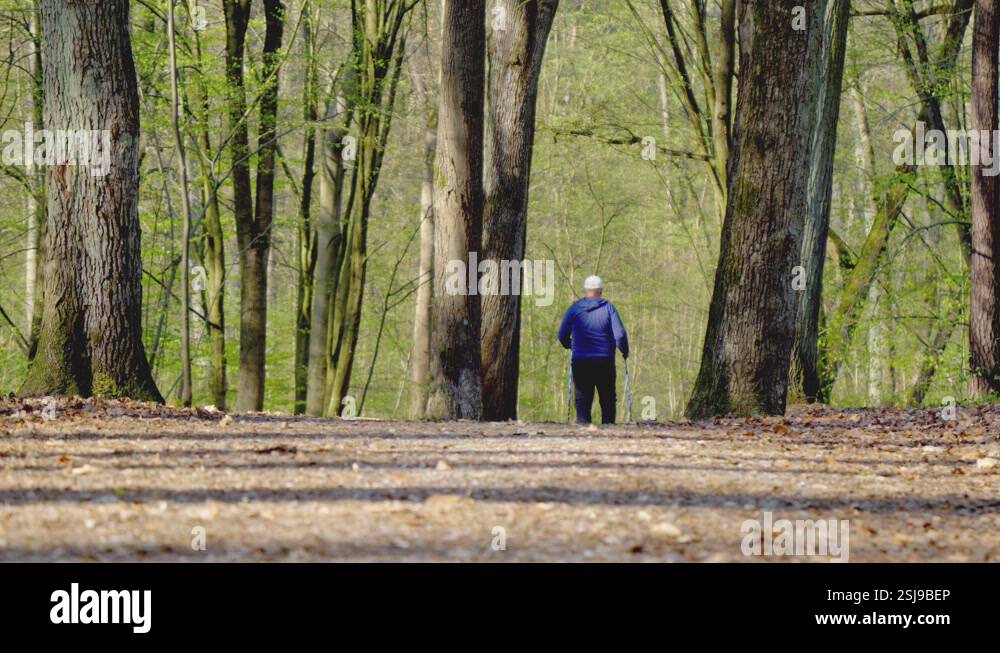A man doing Nordic walking is moving forward in the forest Stock Video ...