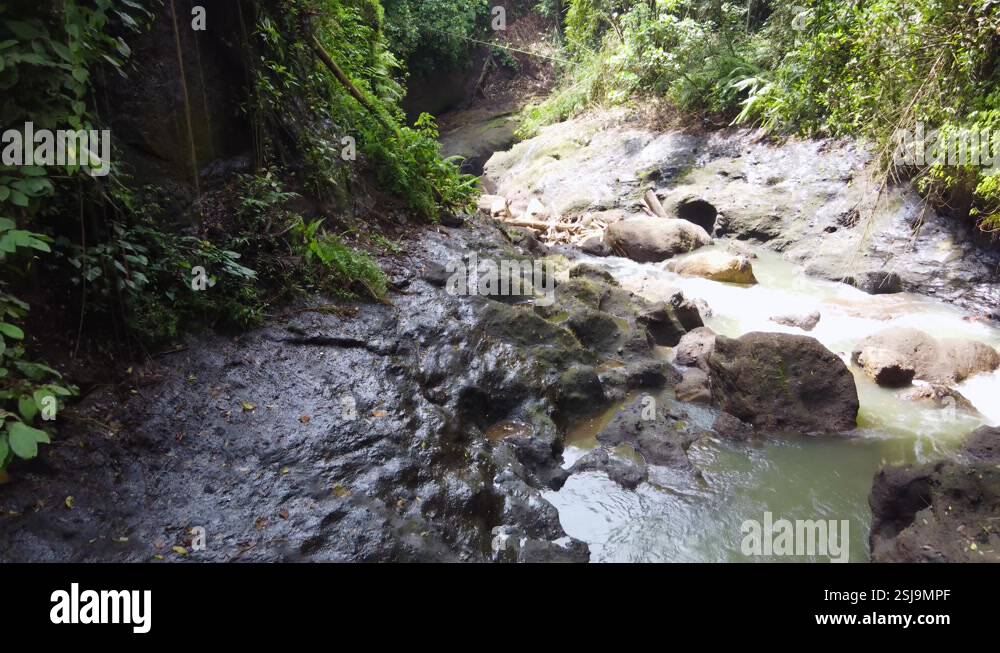 Aerial drone view over a creek in a rocky tropical jungle canyon of Air ...