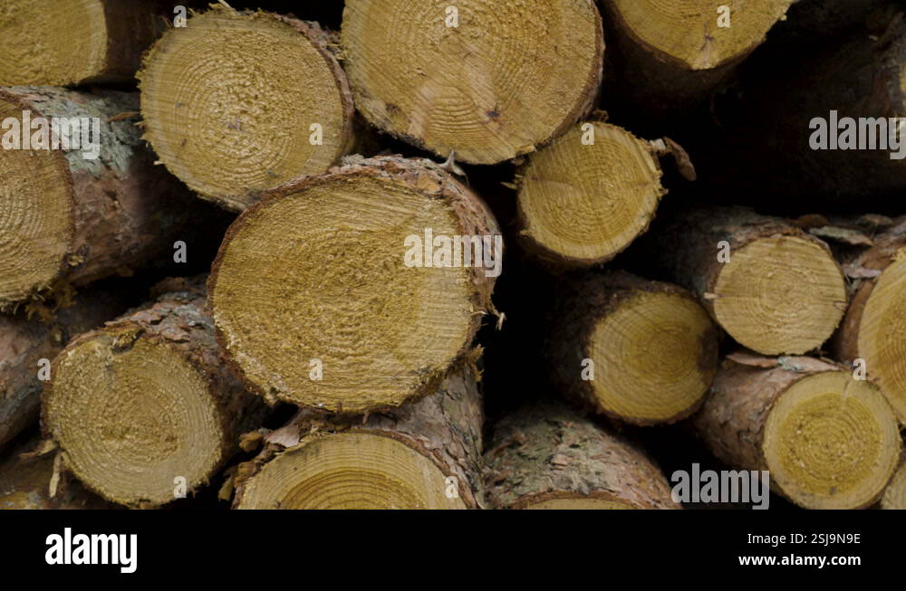 Log textures Stock Videos & Footage - HD and 4K Video Clips - Alamy