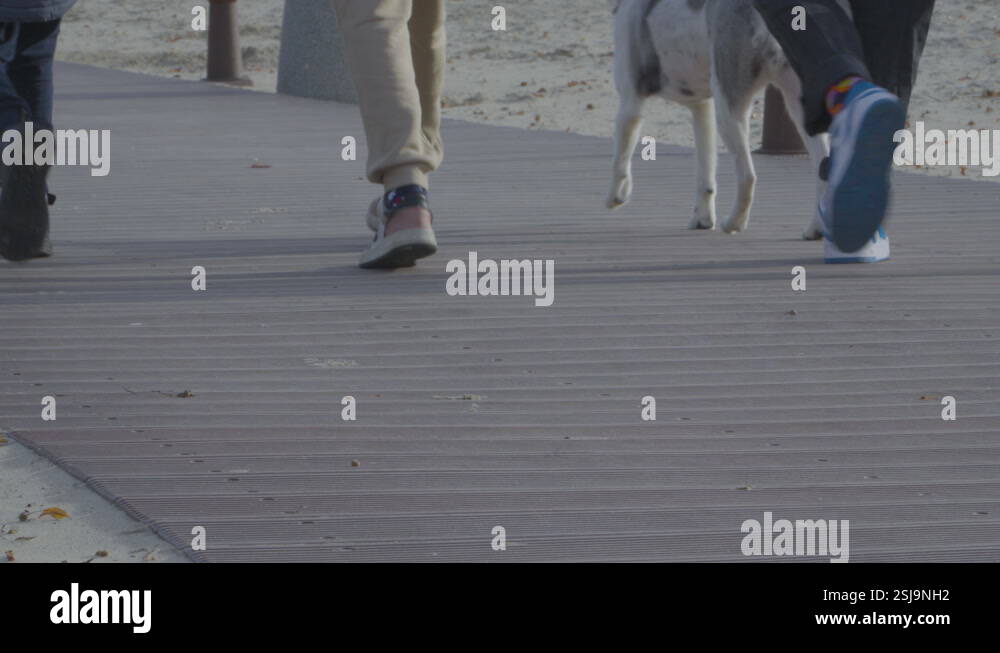 A group of people walk along a wooden boardwalk laid out on the beach ...