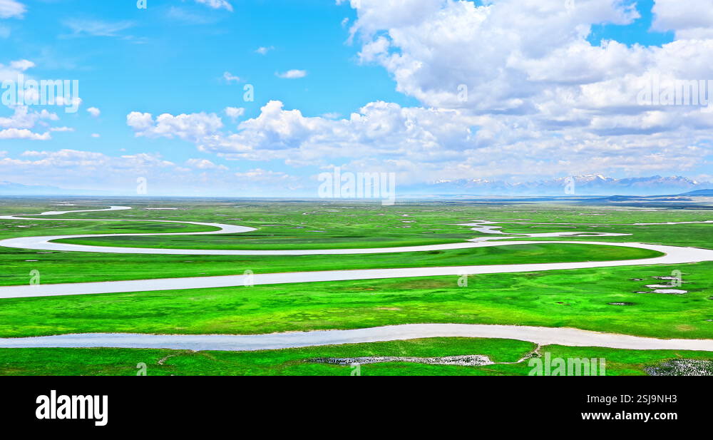 Green grassland and river natural landscape in Xinjiang Stock Video ...