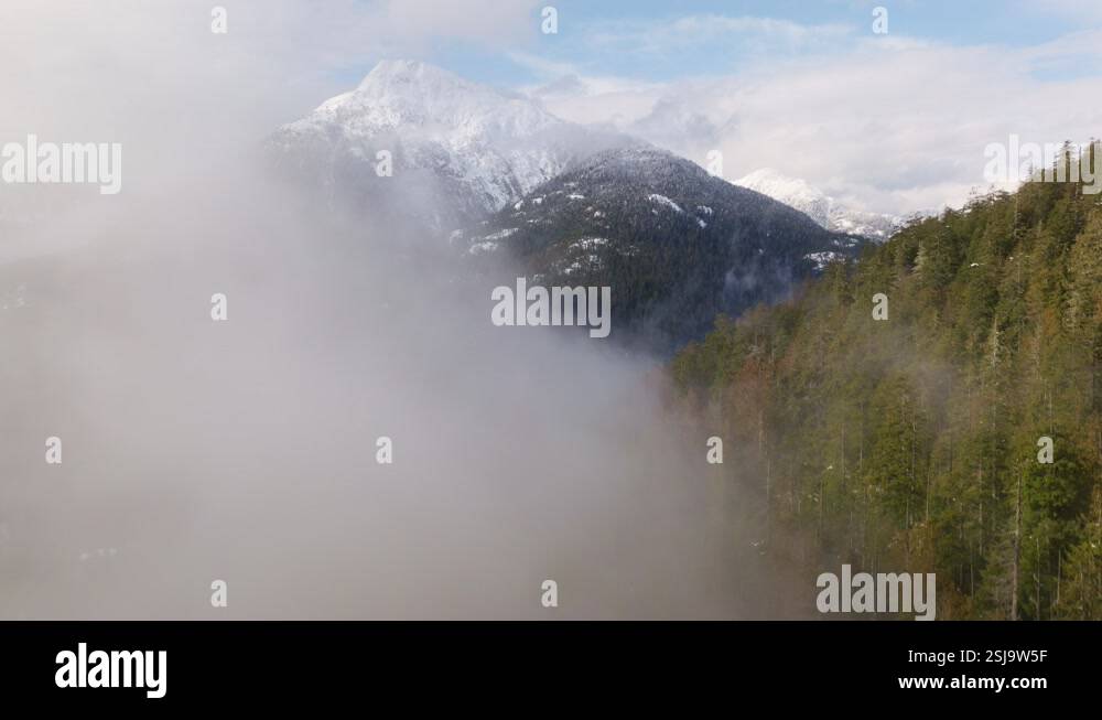 Clouds in the forests with mountains. The forest with wispy cloud fog ...