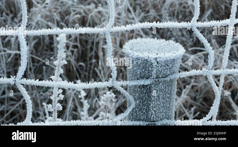 A heavy hoar frost on a fence by the river Brathay in the Langdale ...