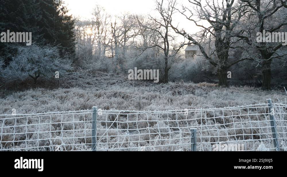 A heavy hoar frost on vegetation in the Langdale valley at Clappersgate ...