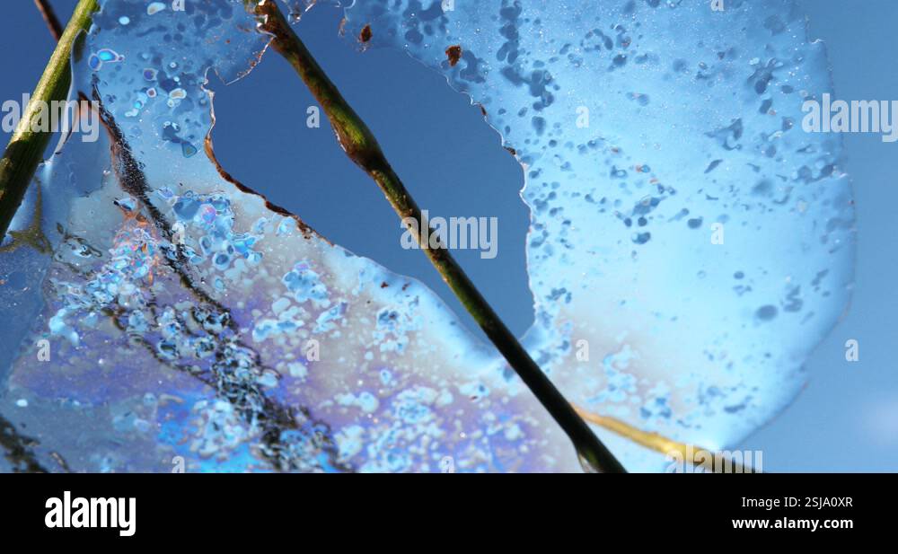 Frost refraction colours Stock Videos & Footage - HD and 4K Video Clips ...