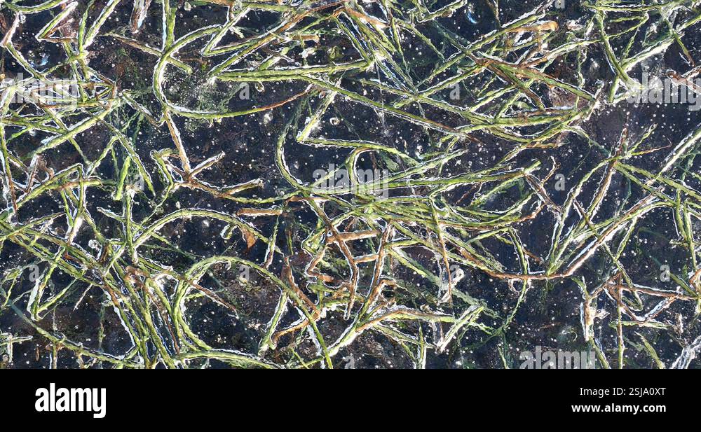 Ice on curved frozen Stock Videos & Footage - HD and 4K Video Clips - Alamy