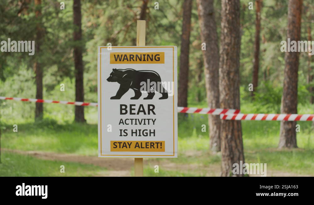 Wild Bear Warning Sign in Protected Nature Park Stock Video Footage - Alamy