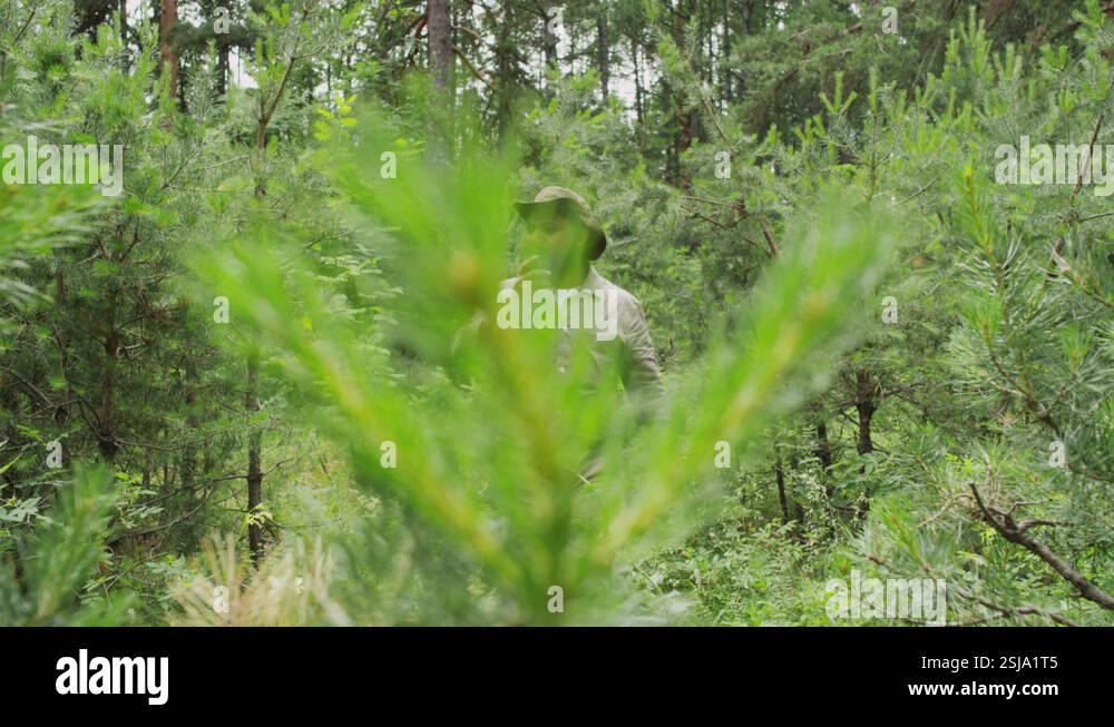 Forest Ranger Inspecting Young Trees and Talking into Radio Stock Video ...
