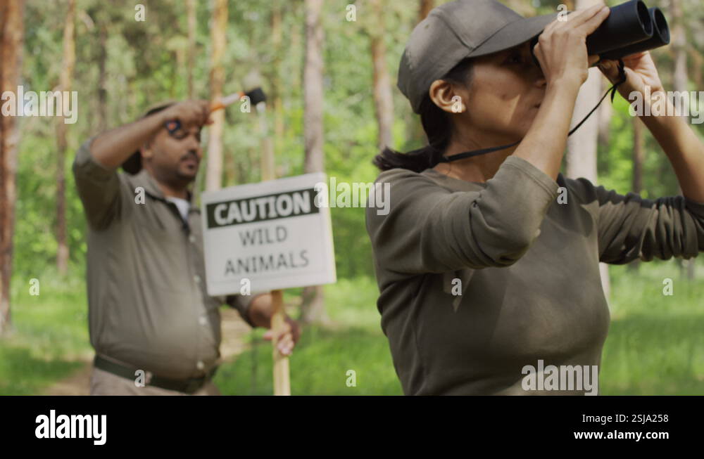 Female Forest Ranger Looking out for Wild Animals through Binoculars ...