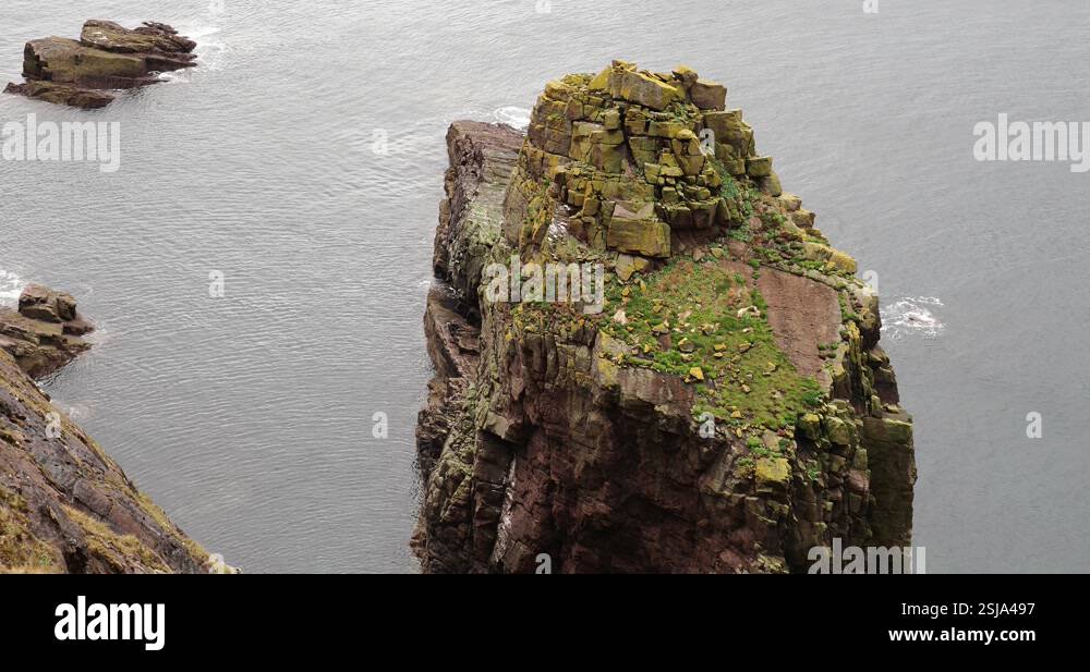 A stack at Stoer in Assynt, Scotland, UK Stock Video Footage - Alamy