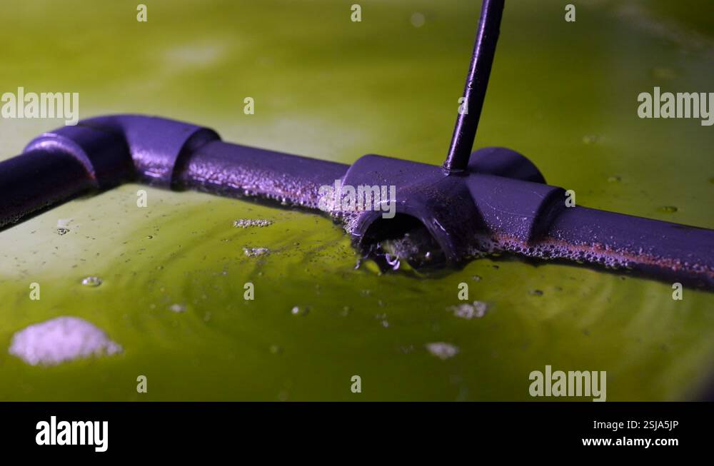 Water bubbles escaping a pipe in water tank, aquaculture oxygenation ...