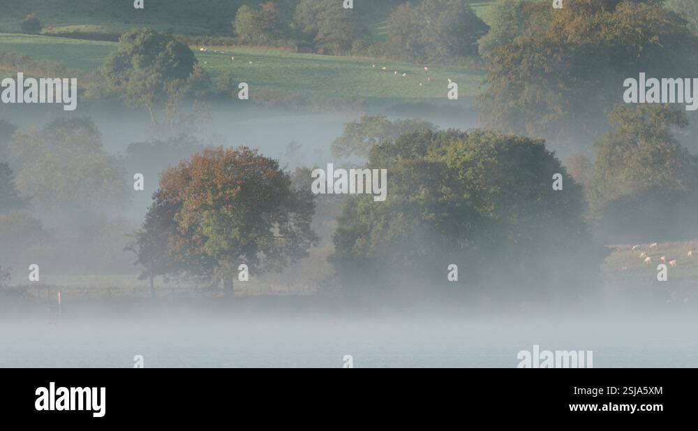 Autumn mist moving over Lake Windermere, Lake District, UK at dawn ...