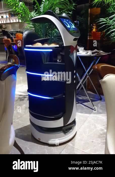 Cat waiter robot in a restaurant with eyes. It has a white tie Stock ...