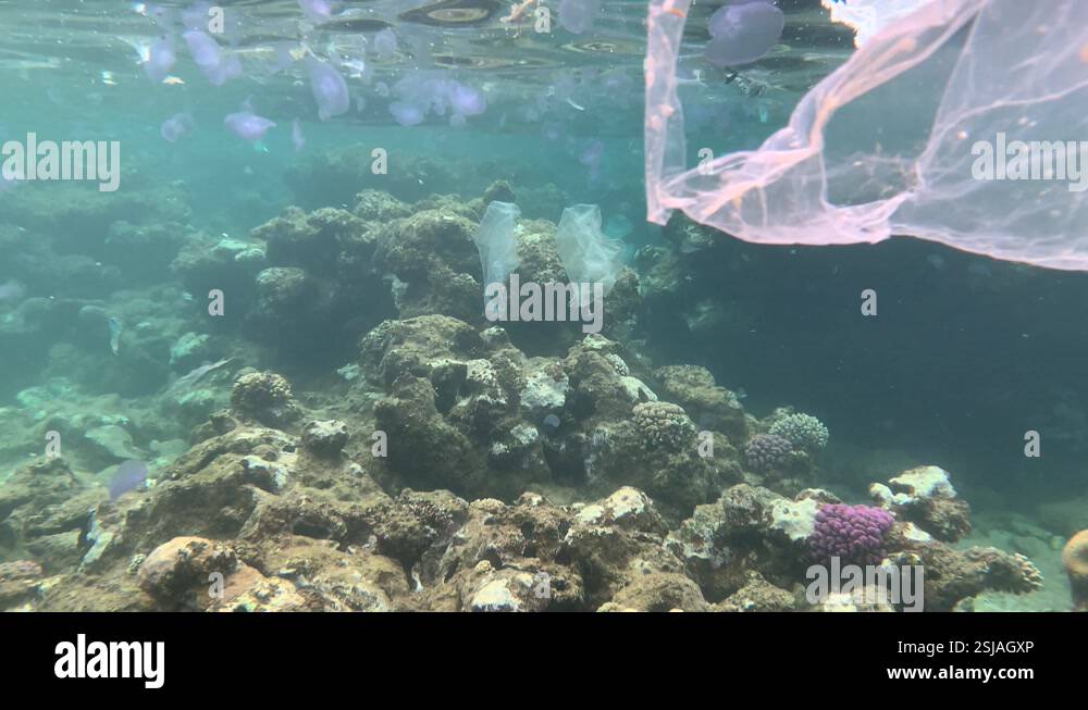 Awful Plastic Pollution And Many Jellyfish at Sea after a Storm on a ...
