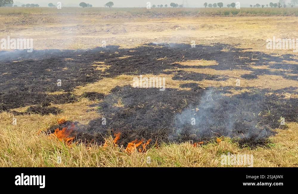 A fire is spreading across a grass field. Ash and char is all over the ...