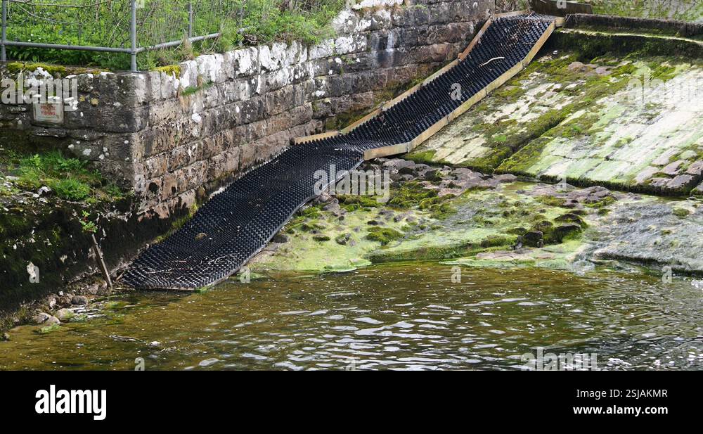 An Eel pass on a weir on the River Ribble just above Settle, Yorkshire ...