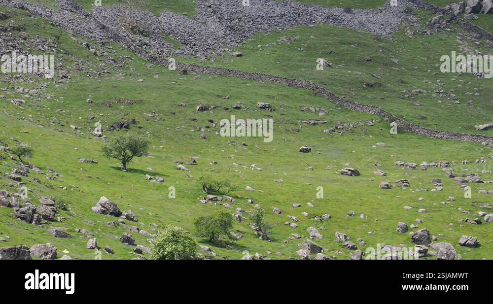 Crummackdale above Austwick in the Yorkshire Dales, with the farmer ...