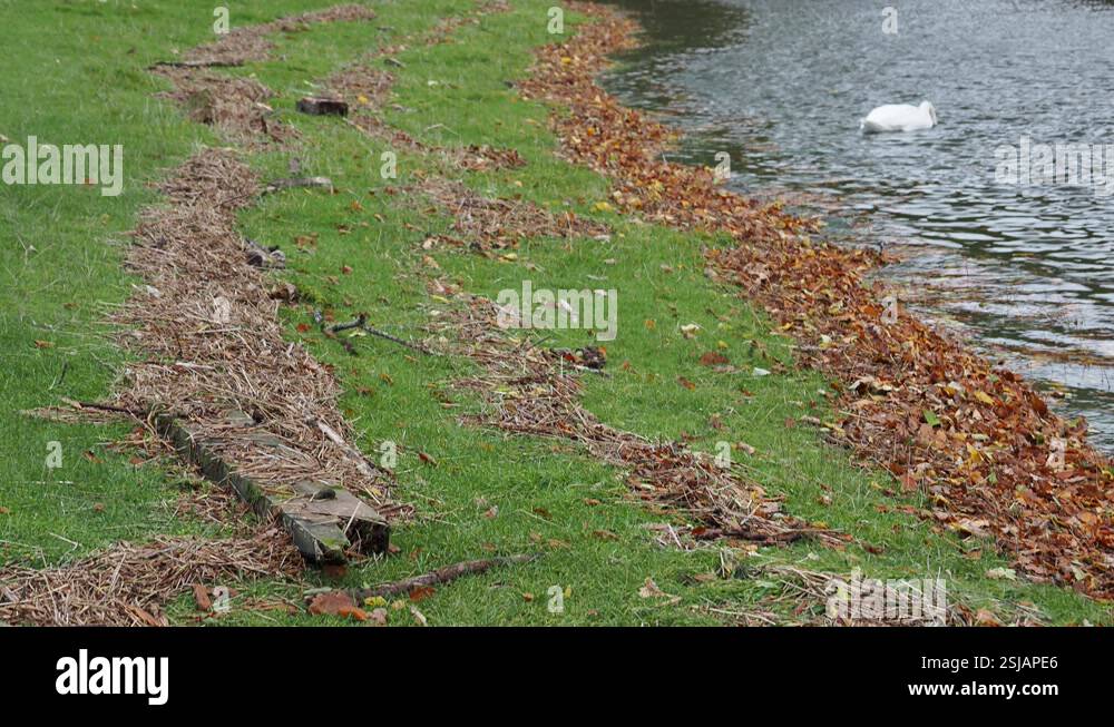Flood lines Stock Videos & Footage - HD and 4K Video Clips - Alamy