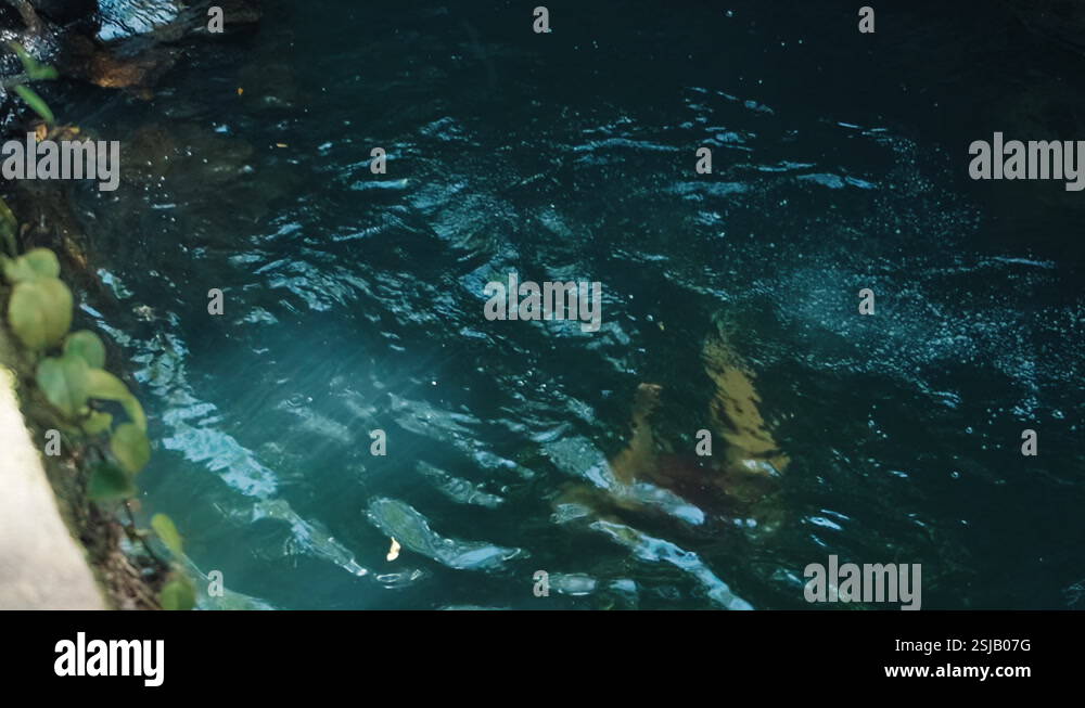 Young man swims and refreshes himself in the waterfall Stock Video ...