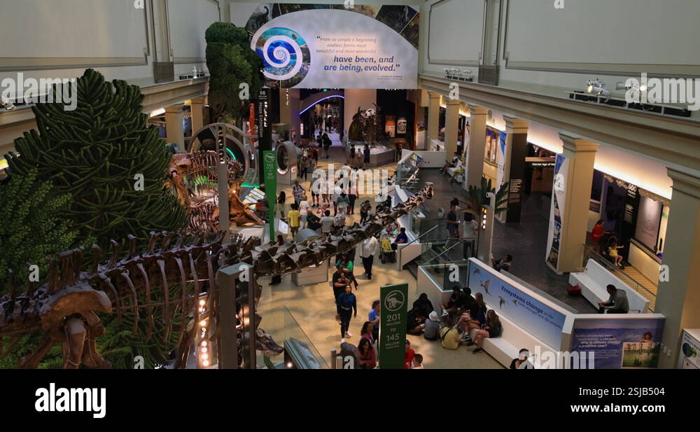 Dc museum display Stock Videos & Footage - HD and 4K Video Clips - Alamy