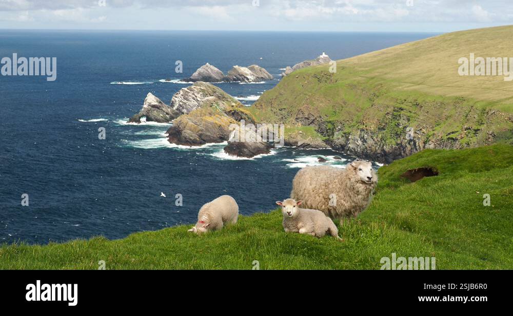 Muckle Flugga lighthouse off Herma Ness on Unst, Shetland, Scotland, UK ...