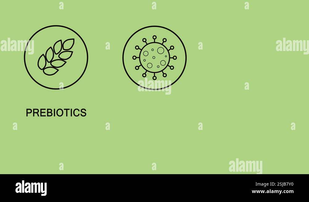 Postbiotic, prebiotic, and probiotic text on a green background. The ...